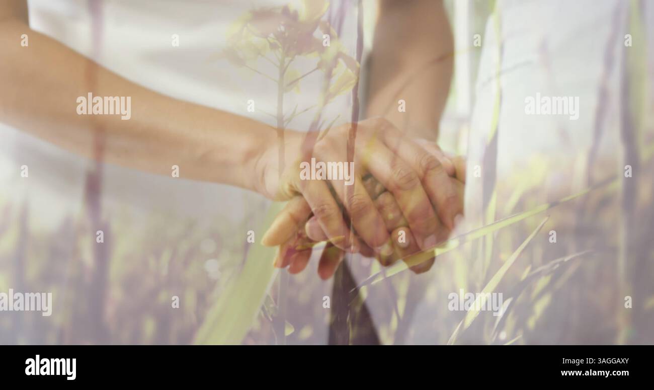 Digital image of tall grass moving in wind against female doctor ...