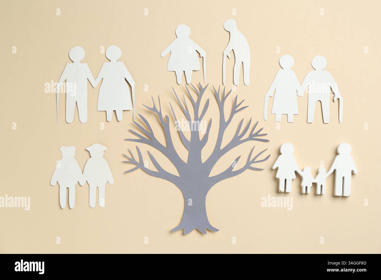 Family tree and cutouts on beige background, top view Stock Photo - Alamy