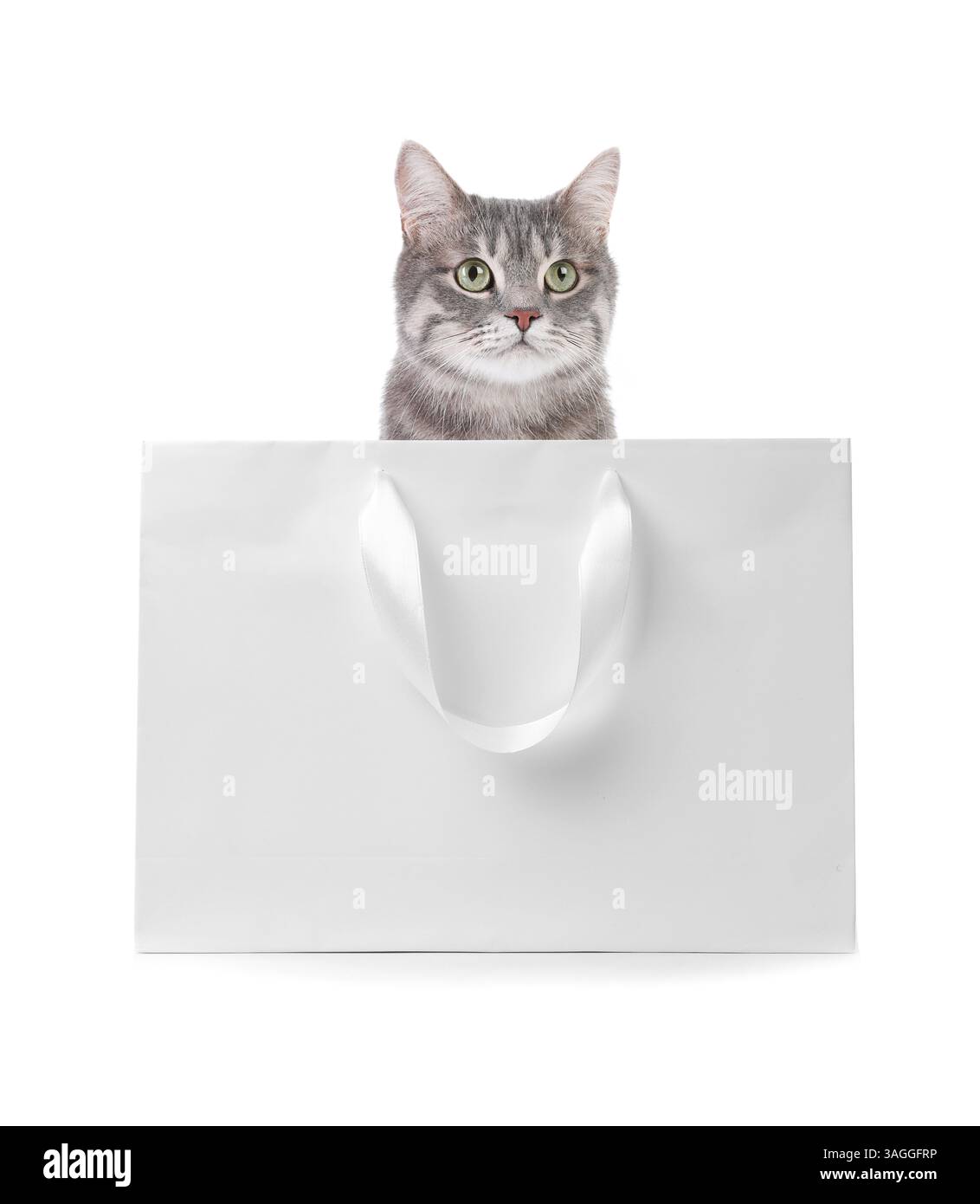 Cute cat peeking out of shopping bag on white background Stock Photo ...