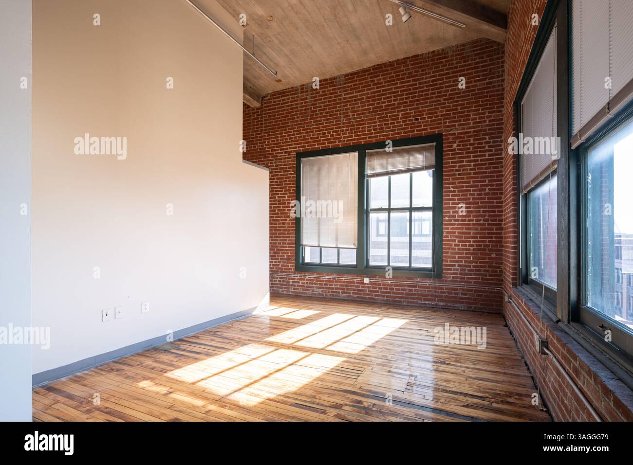 The Drygoodsman Building , Location: St. Louis MO, Architect: Albert P ...