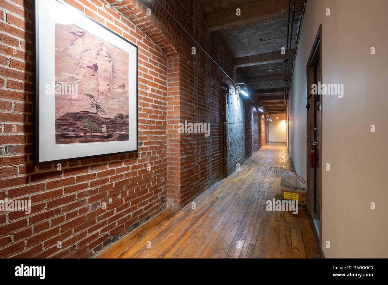 The Drygoodsman Building , Location: St. Louis MO, Architect: Albert P ...