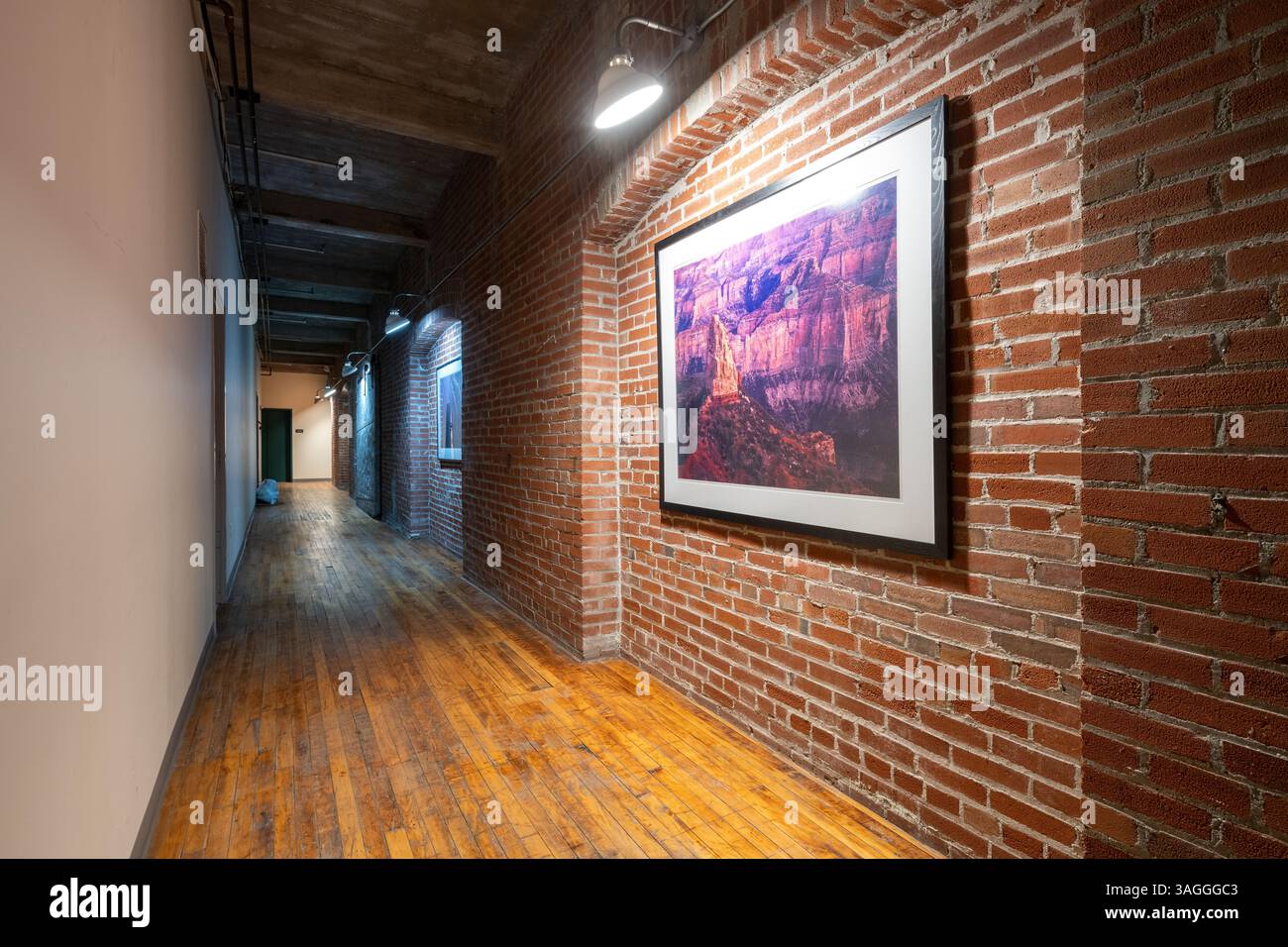 The Drygoodsman Building , Location: St. Louis MO, Architect: Albert P ...