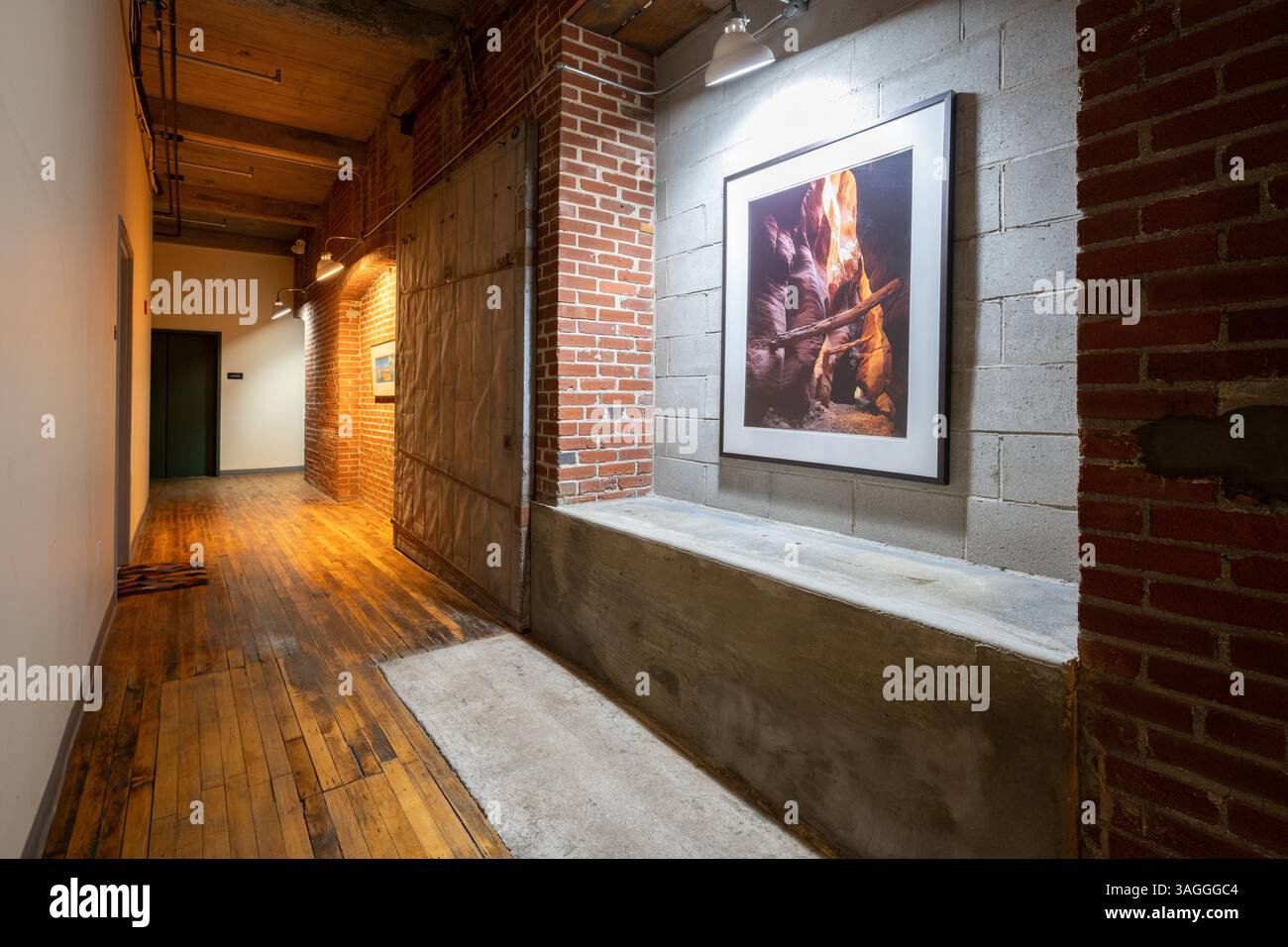 The Drygoodsman Building , Location: St. Louis MO, Architect: Albert P ...