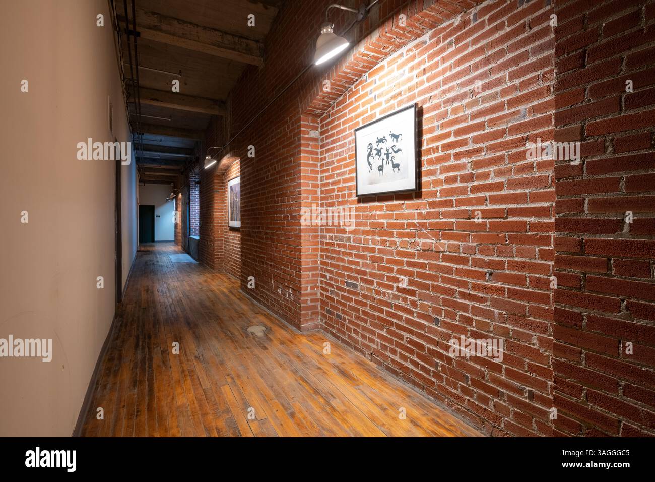 The Drygoodsman Building , Location: St. Louis MO, Architect: Albert P ...