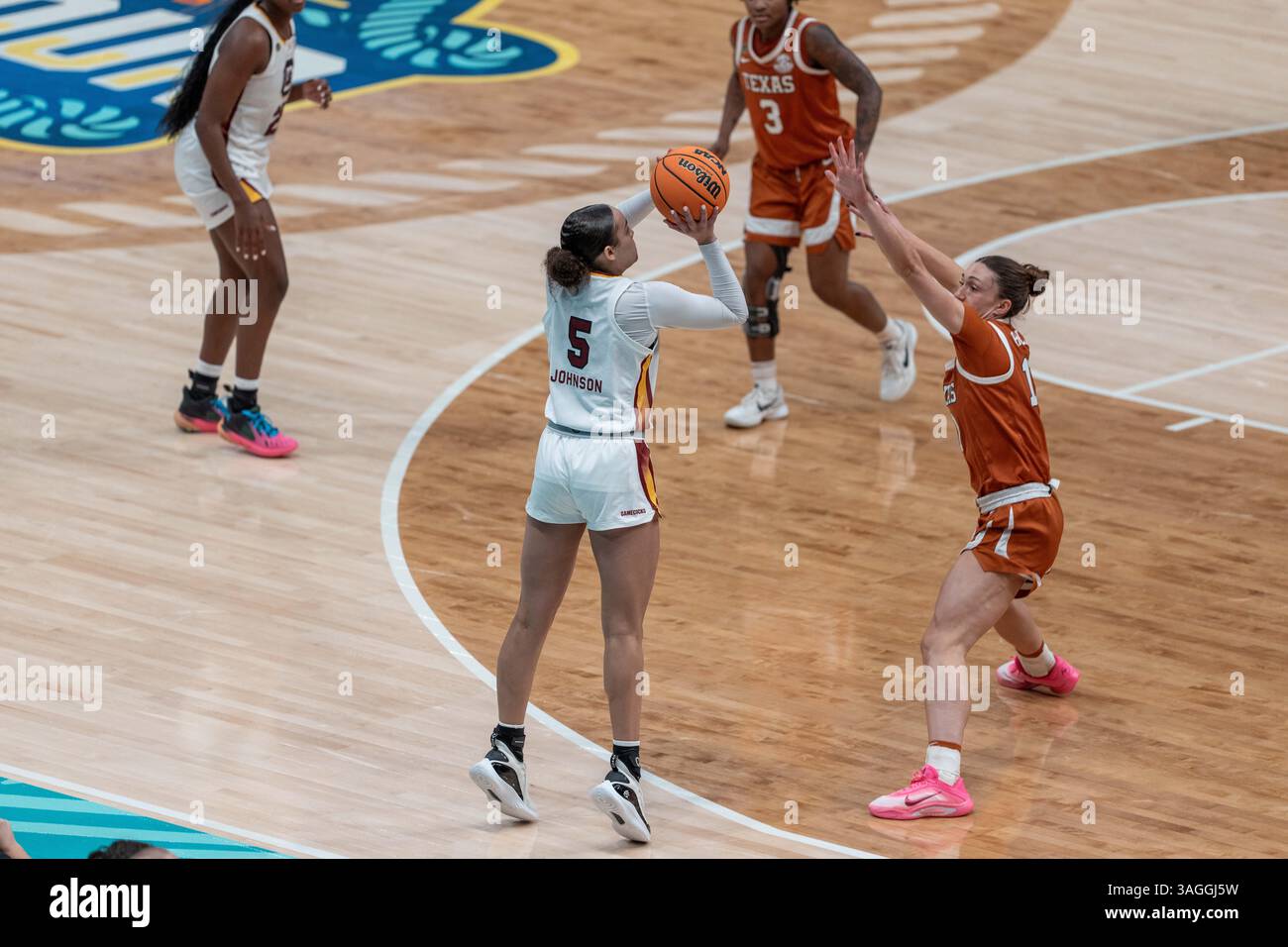 South Carolina Gamecocks guard Tessa Johnson (5) shoots over Texas ...