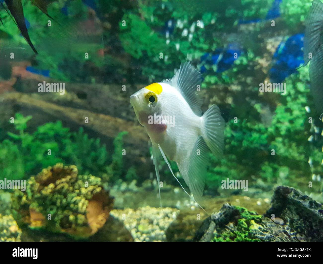 Soothing view in slow motion hi-res stock photography and images - Alamy