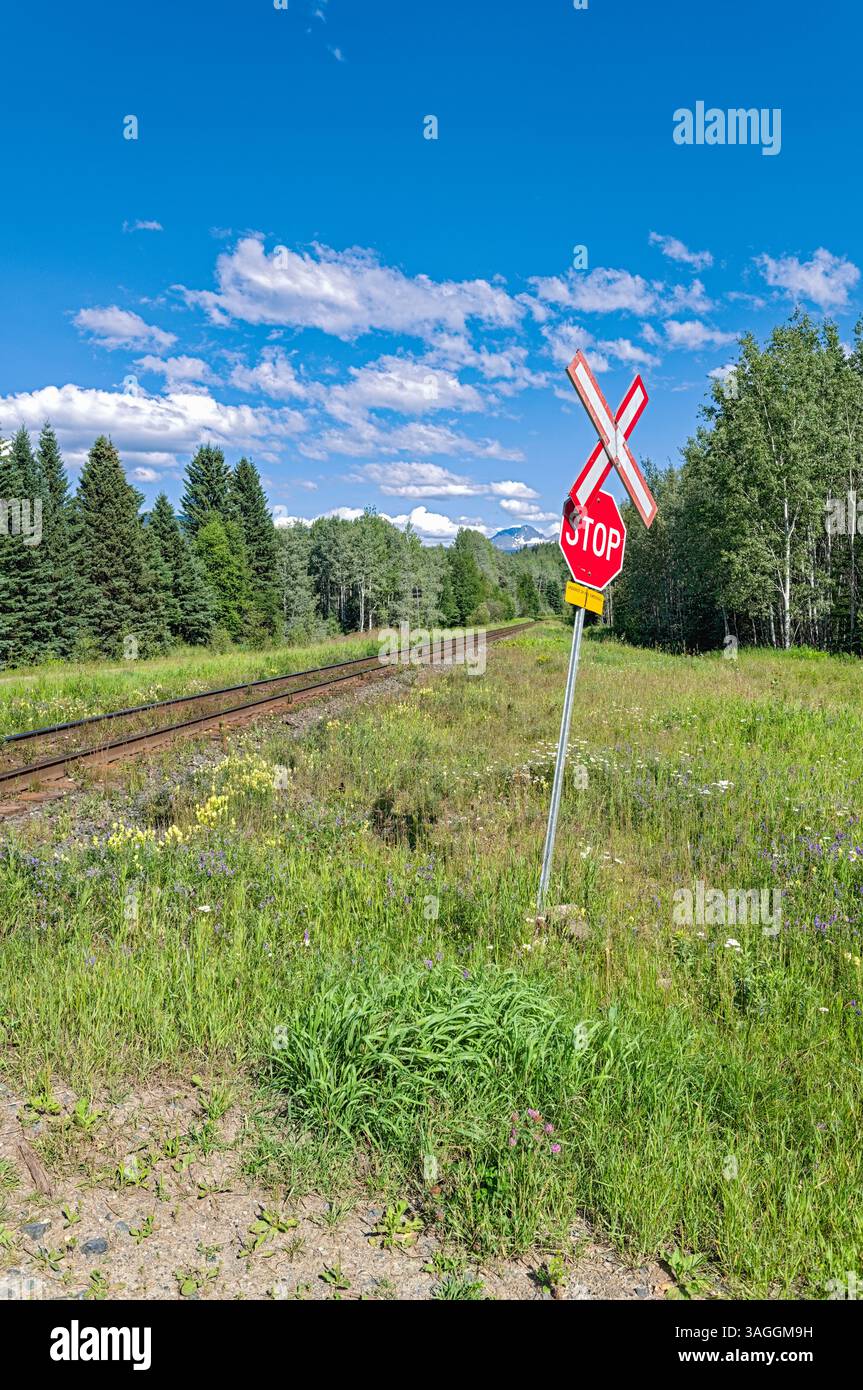 A stop sign at the railroad crossing of the Fraser subdivision near ...