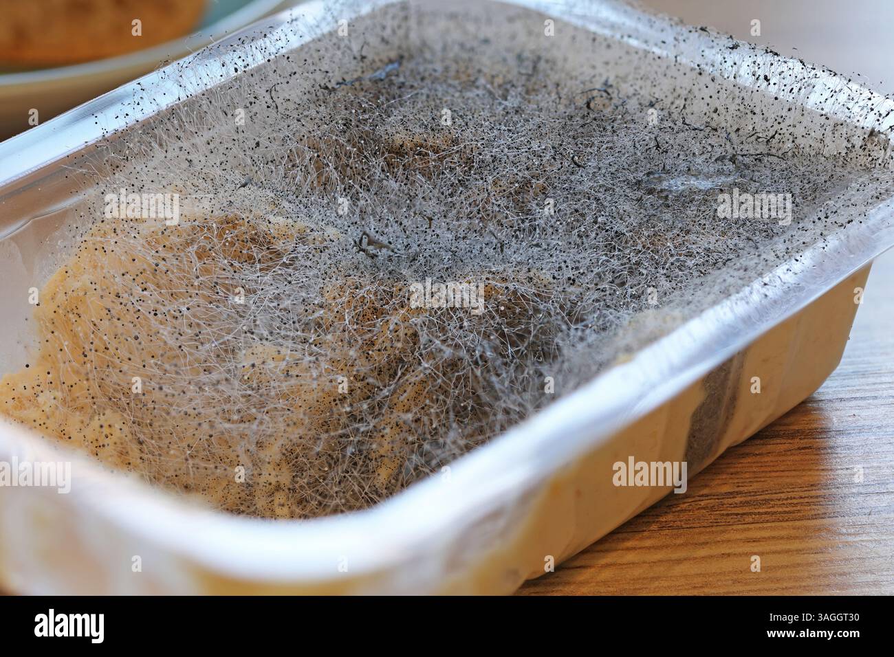 a box of humus covered with unappetizing mold on a table Stock Photo ...