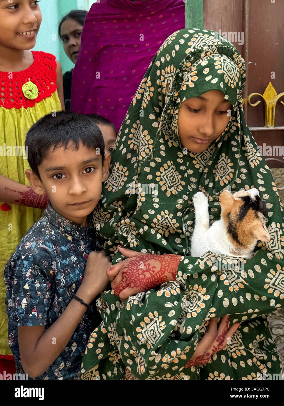 Bangladeshi cat hi-res stock photography and images - Alamy