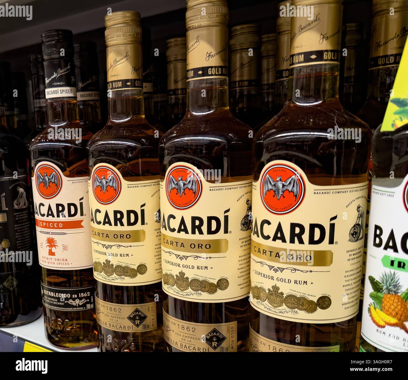 An organized row of Bacardi rum bottles displaying their signature branding and variety for rum ...