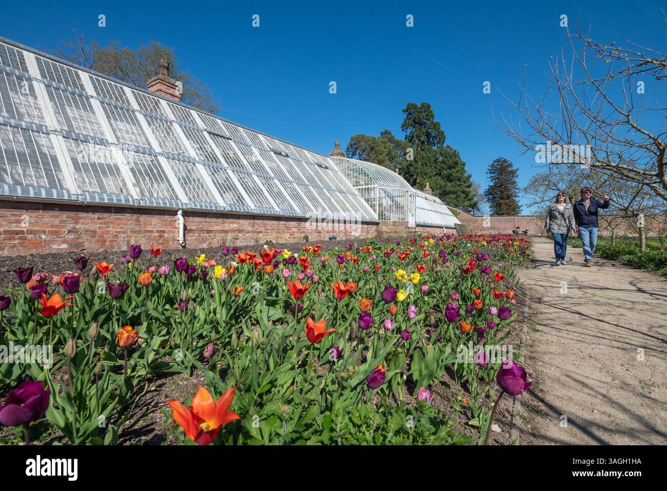 The Glasshouse at Quarry Bank Mill in Styal, Cheshire, England. One of ...