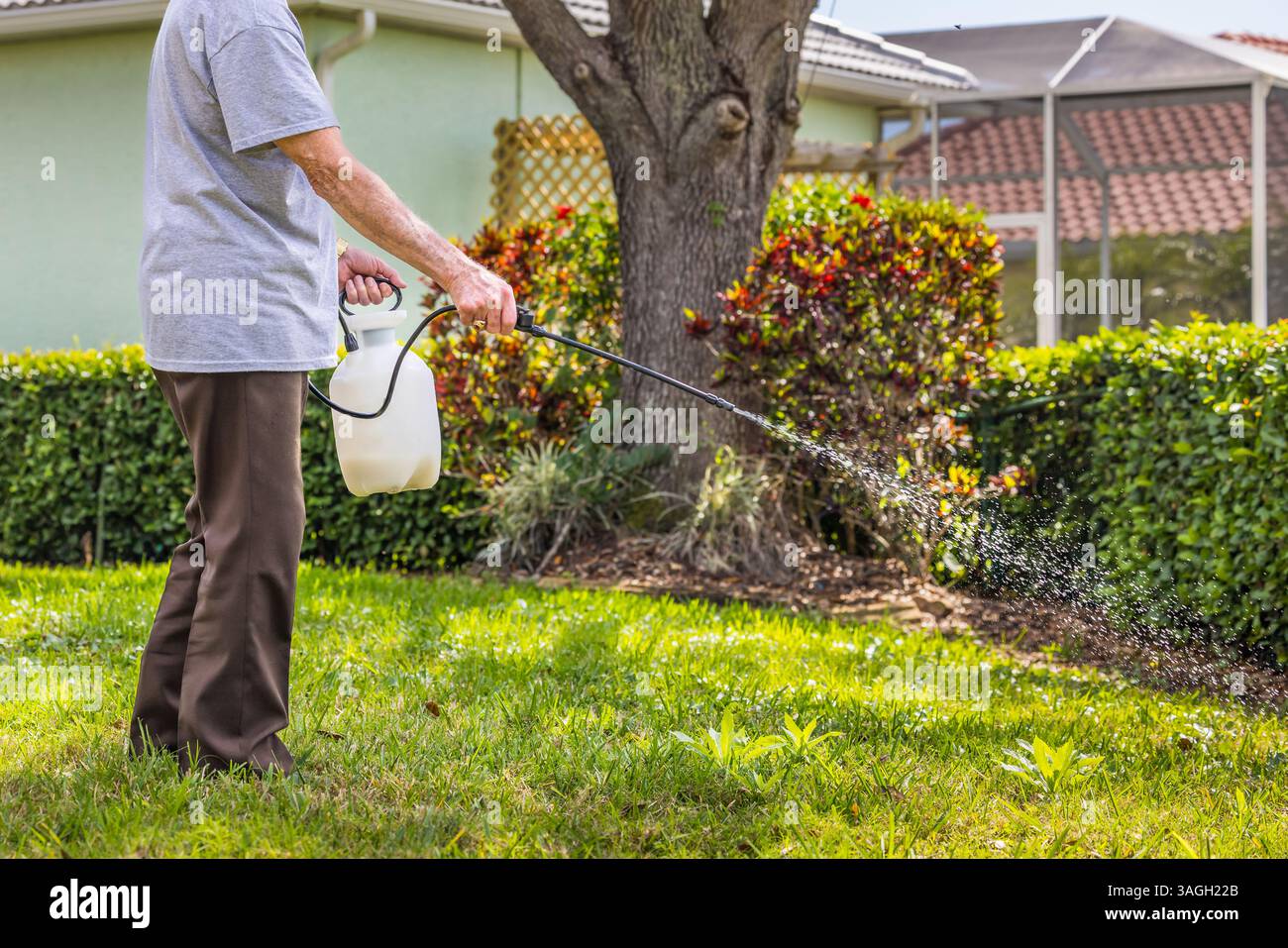Man spraying weed killer herbicide on green grass residential yard ...
