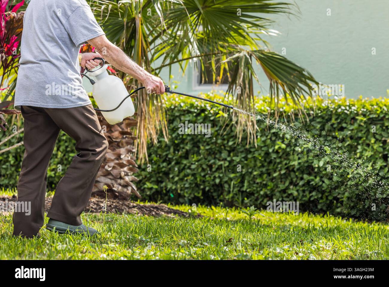 Man spraying weed killer herbicide on green grass residential yard ...