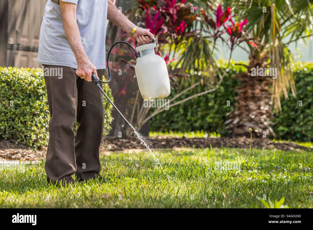 Man spraying weed killer herbicide on green grass residential yard ...