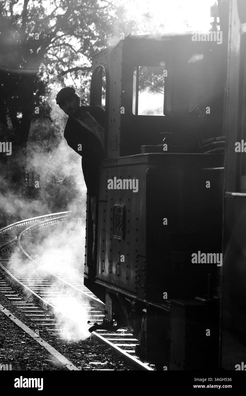 "The Earl" at Cyfronydd Stock Photo - Alamy