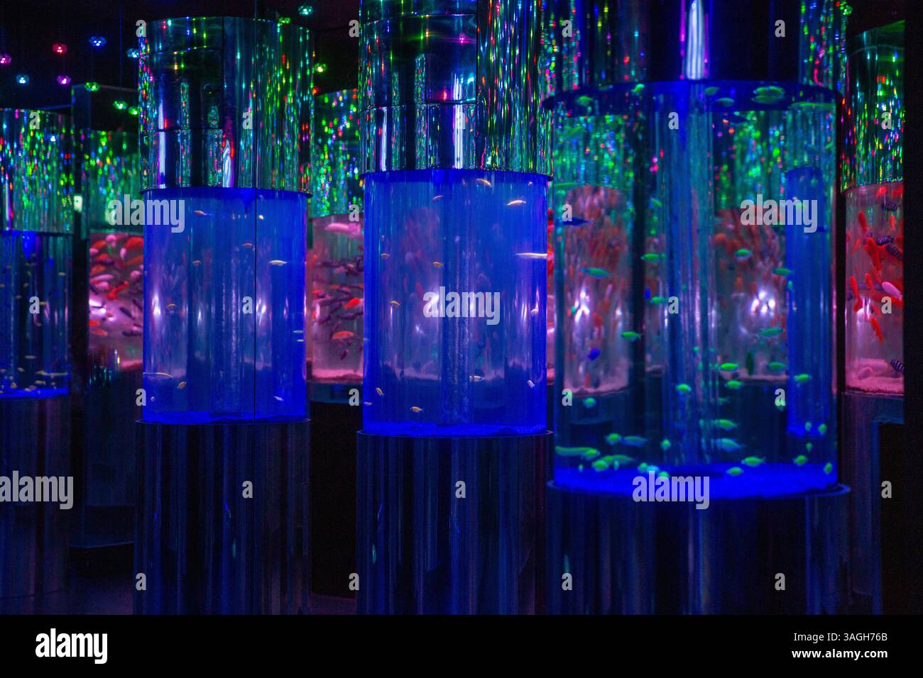 Glowing displays hi-res stock photography and images - Alamy