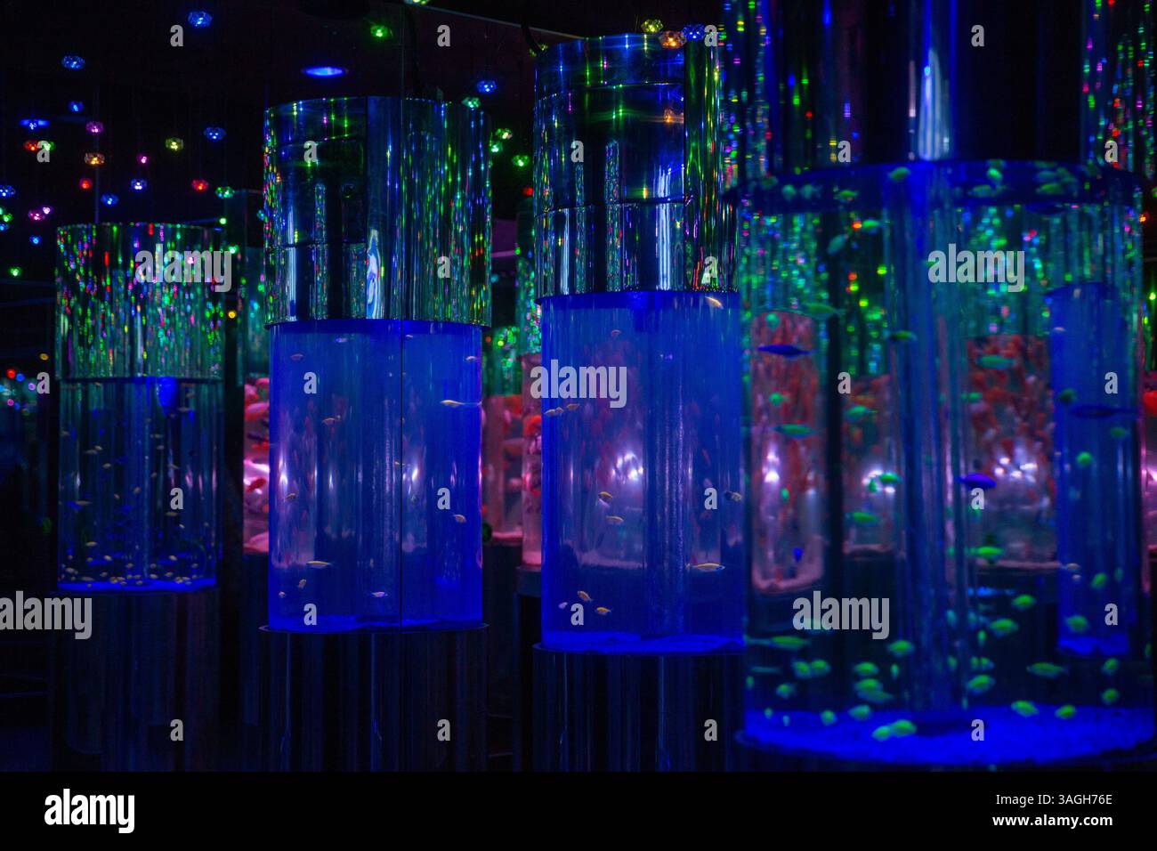 Neon displays hi-res stock photography and images - Alamy