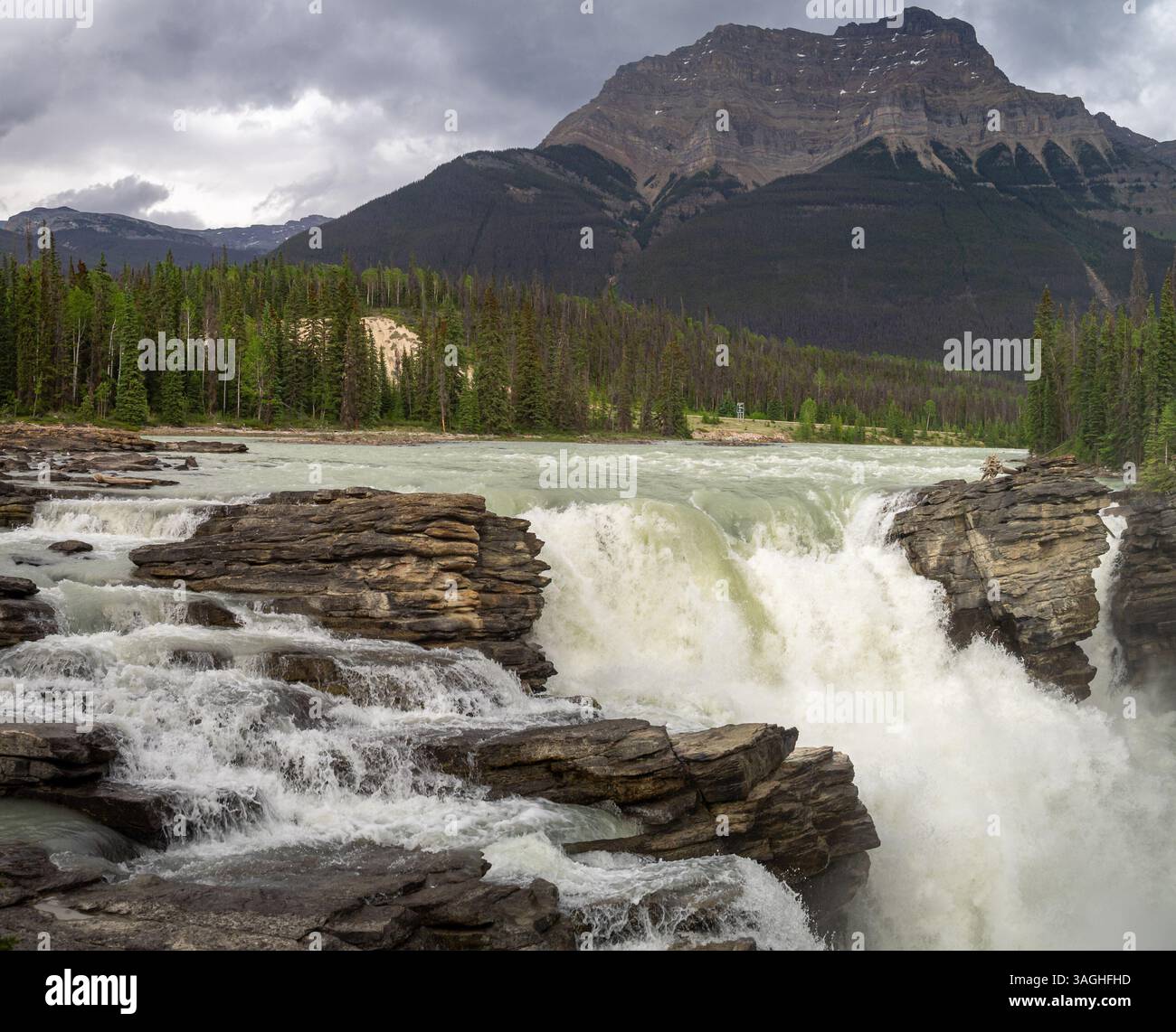 Athabasca falls jasper np alberta hi-res stock photography and images - Alamy
