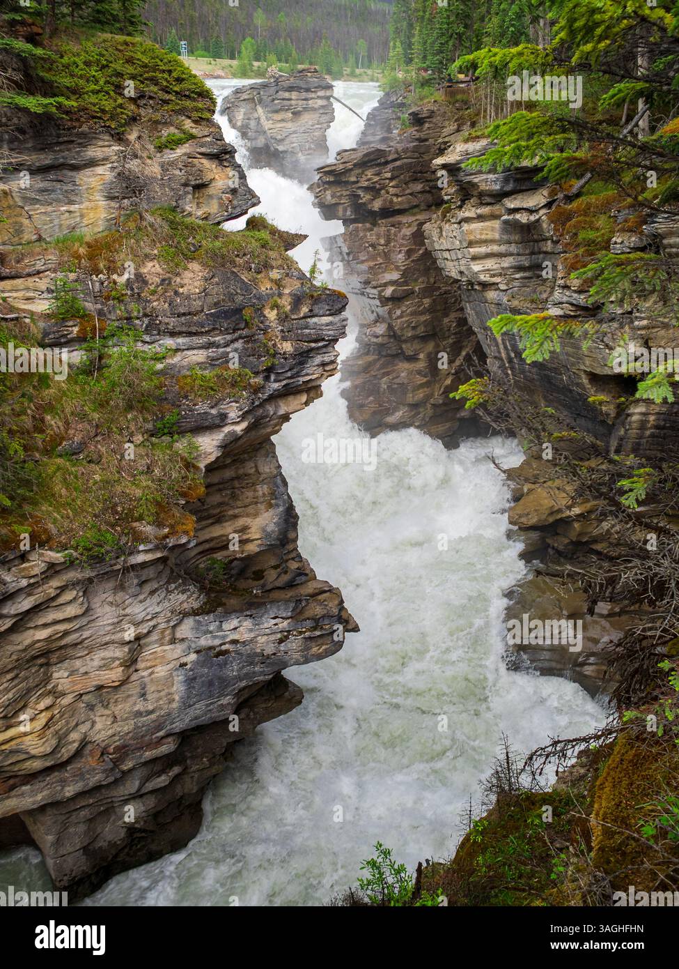 Metamorphic rock canada hi-res stock photography and images - Alamy