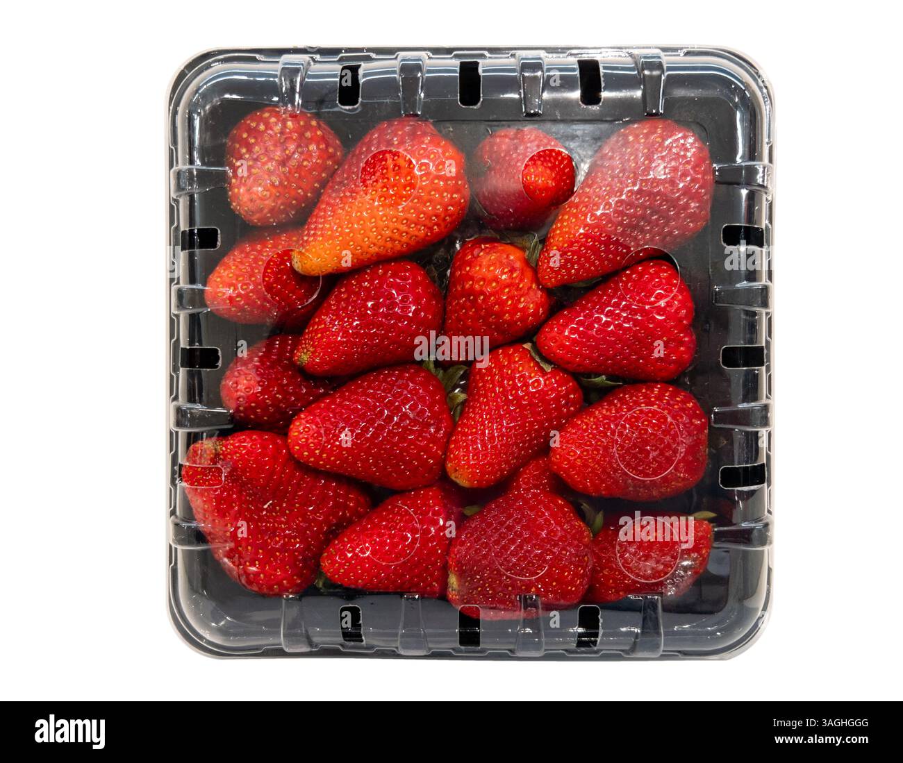 Ripe strawberries in black plastic box with clear lid for supermarket ...