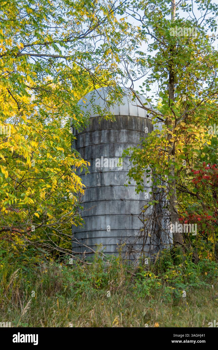 Fall Foliage. Abandoned Concrete Silo. Ontario County. Victor, New York ...