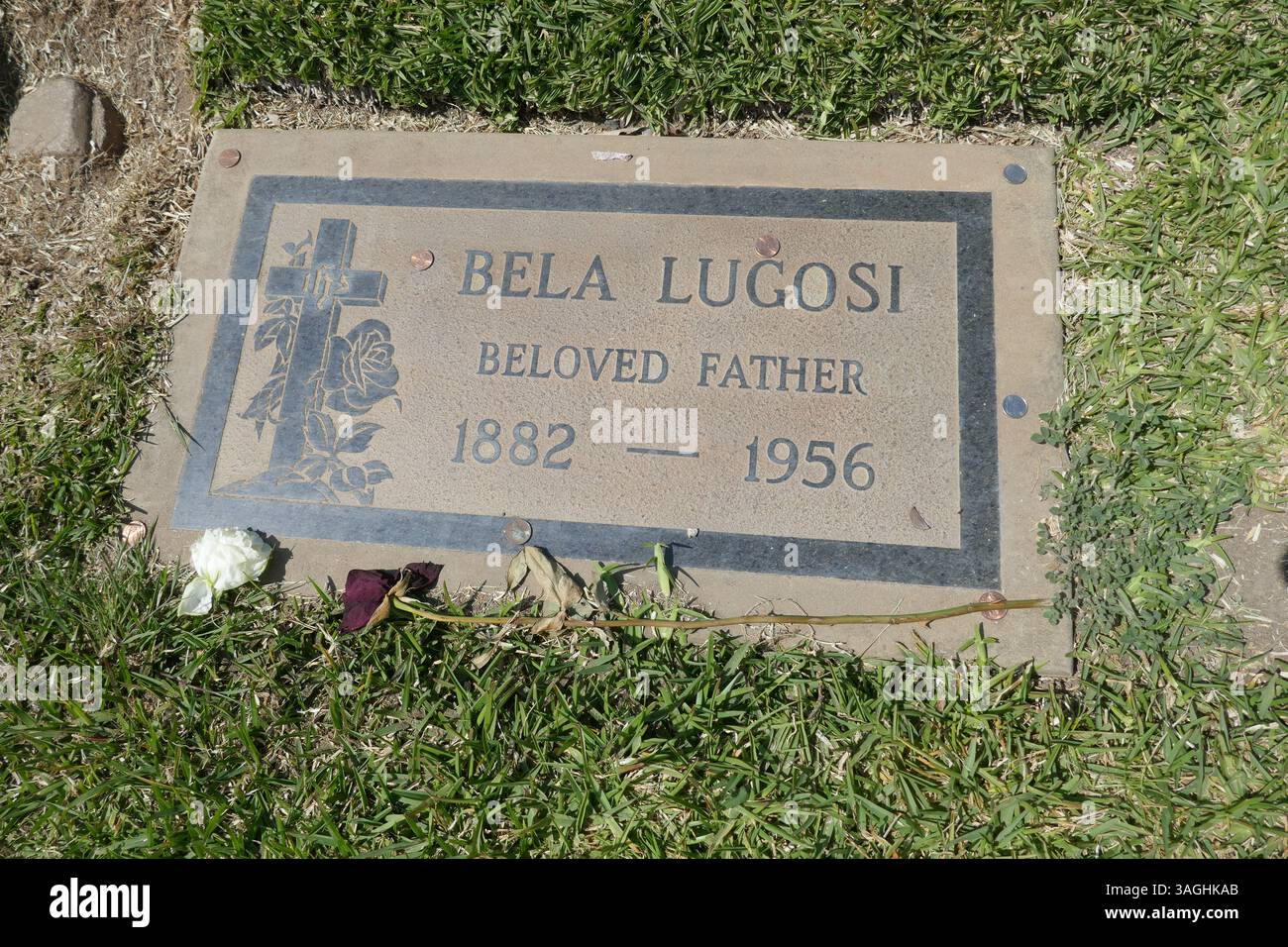 Culver City, California, USA 7th April 2025 Actor Bela Lugosi Grave in ...