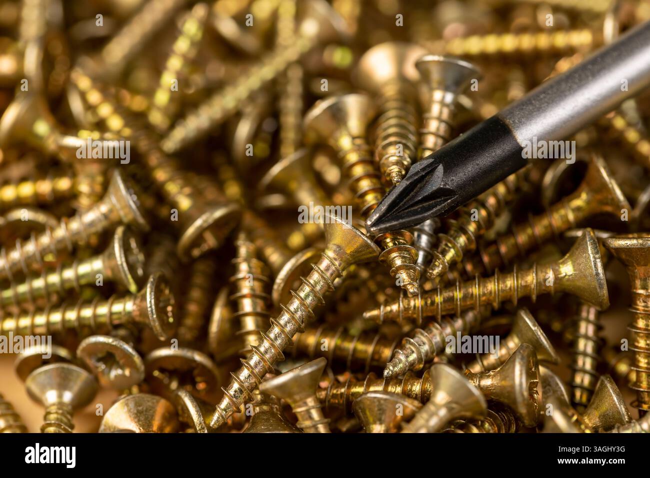 screwdriver and screws on a pine wood board, golden colored screws for ...