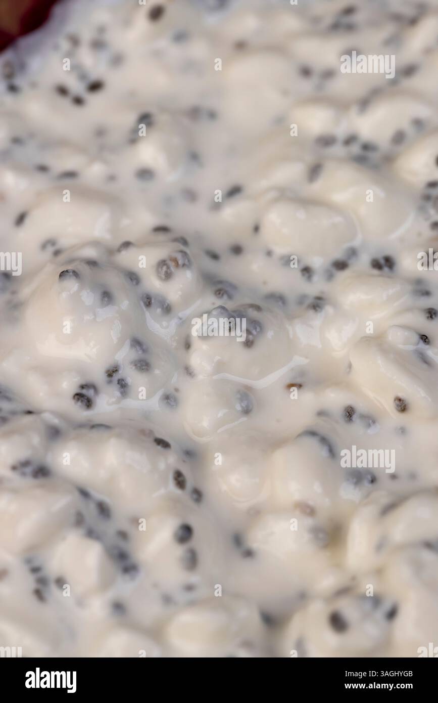 cottage cheese made from milk and chia seeds, grainy cottage cheese ...