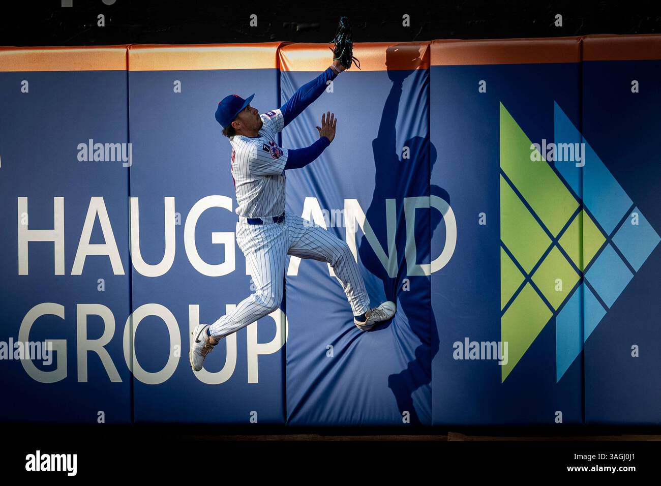 New York Mets outfielder Tyrone Taylor (15) leaps to try to catch a ...