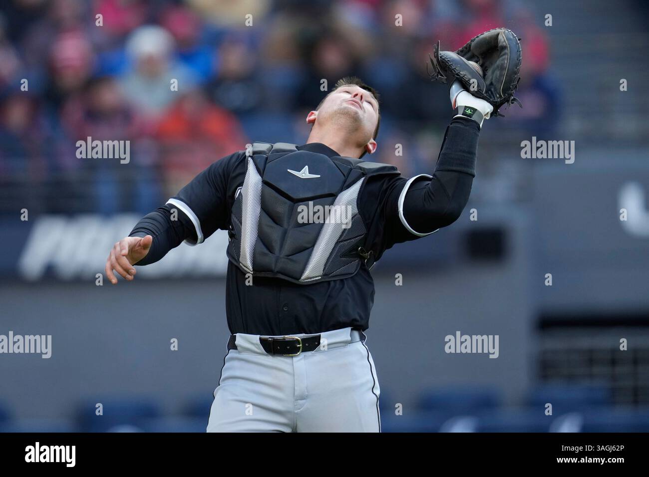 Chicago White Sox catcher Matt Thaiss catches a foul ball hit for an ...