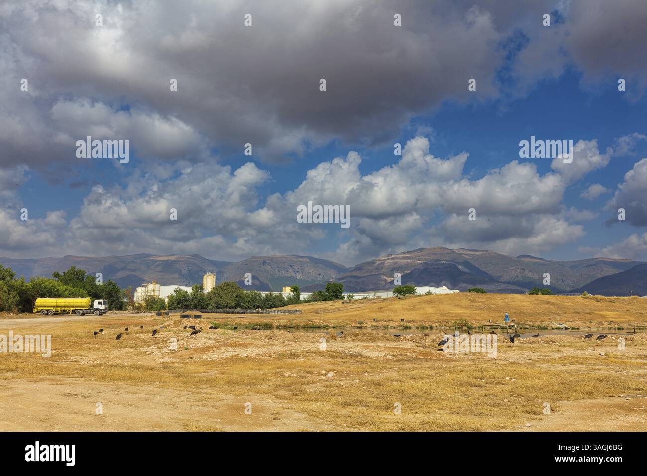 Landscape Oman, Raysut Waste Water Treatment Plant, Tree, Palm ...