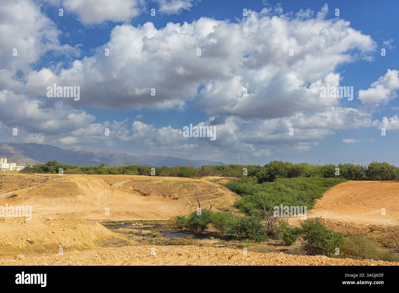 Landscape Oman, Raysut Waste Water Treatment Plant, Tree, Palm ...