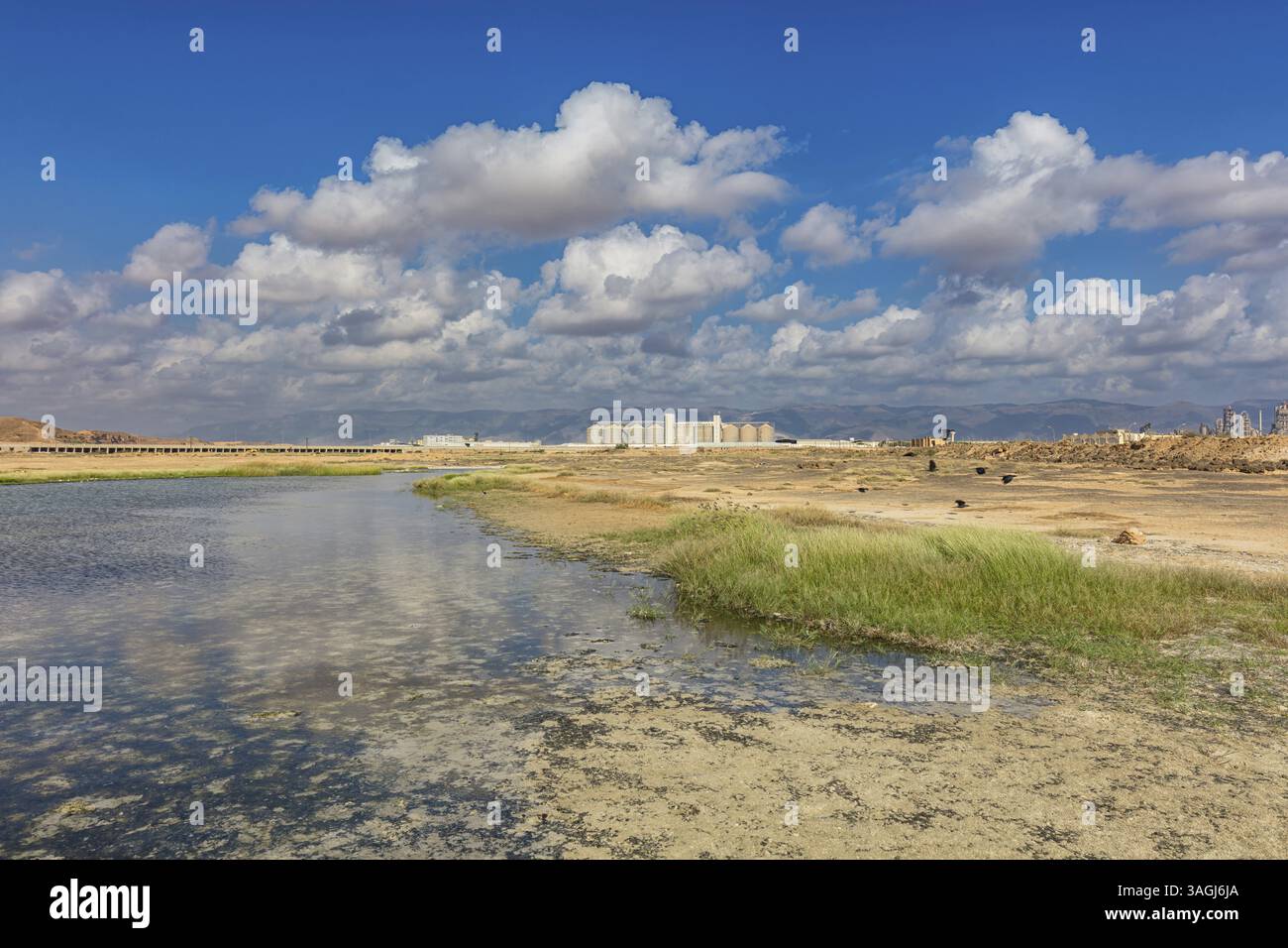 Landscape Oman, Raysut Waste Water Treatment Plant, Tree, Palm ...