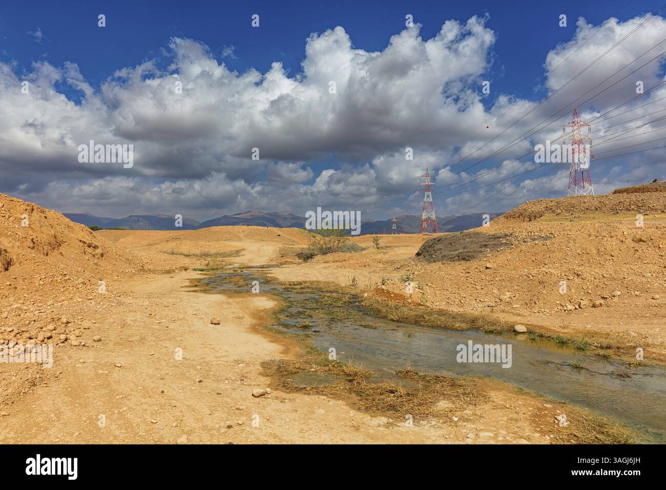 Landscape Oman, Raysut Waste Water Treatment Plant, Tree, Palm ...