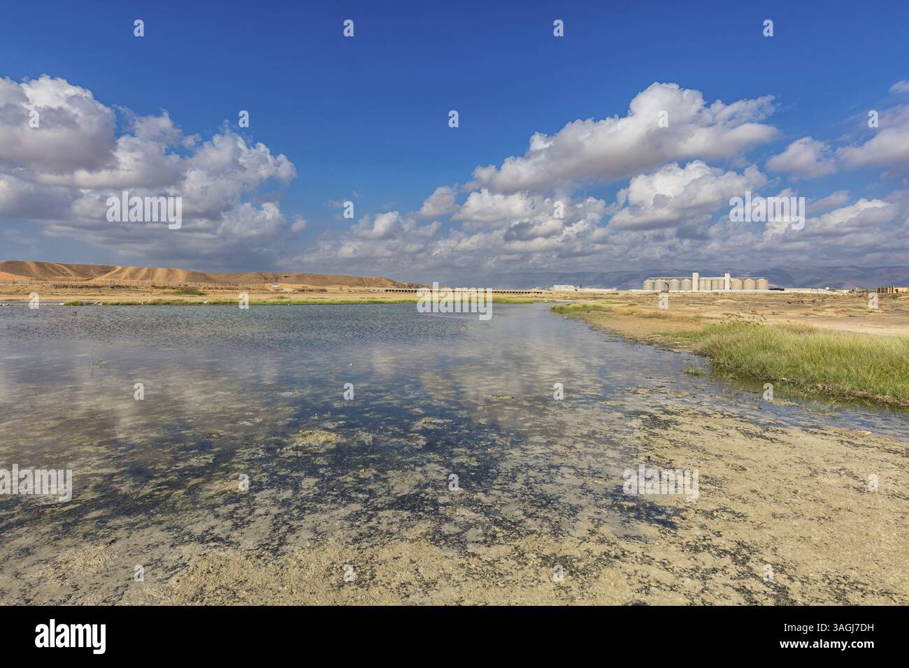 Landscape Oman, Raysut Waste Water Treatment Plant, Tree, Palm ...