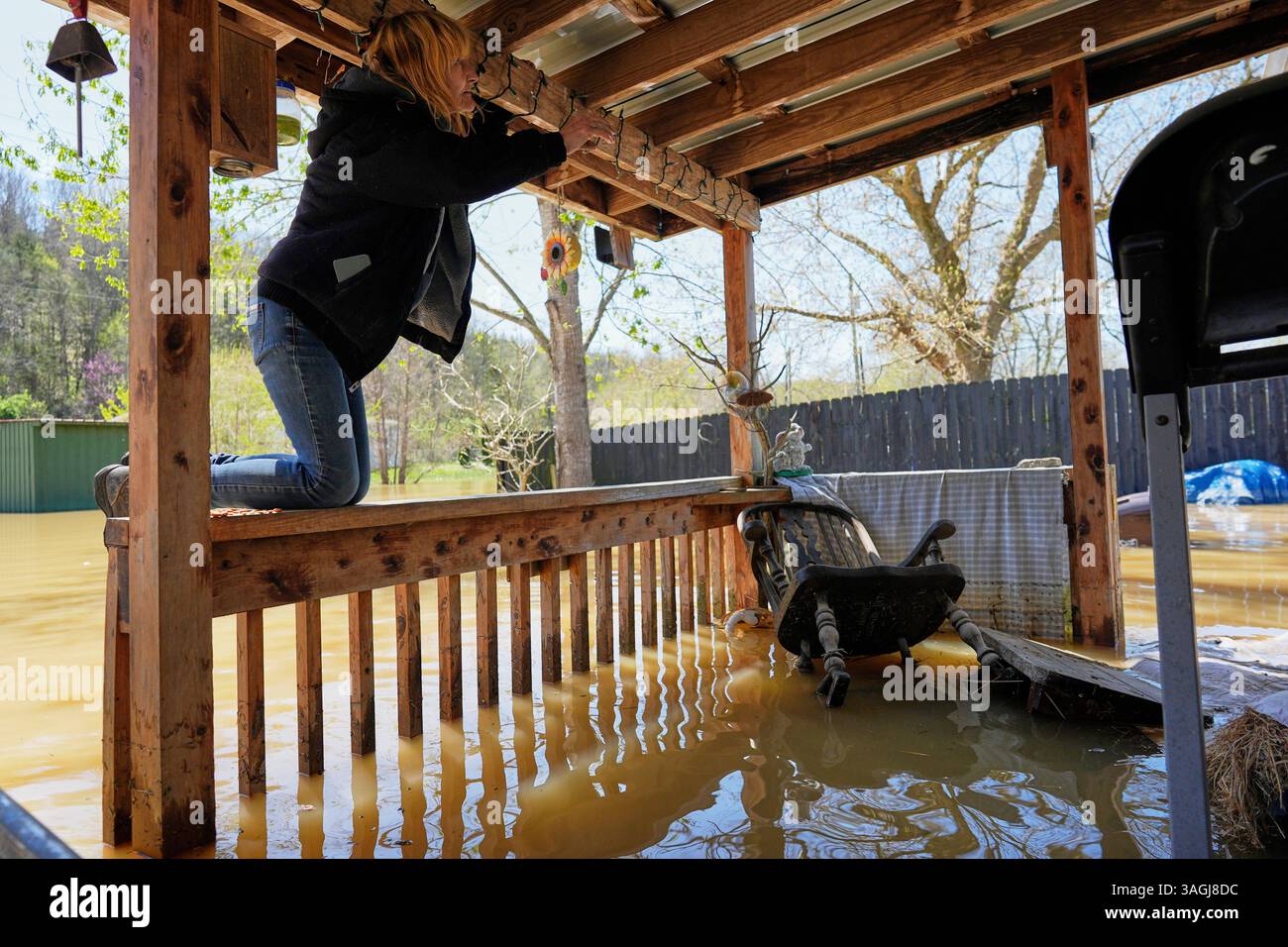 Wanona Harp climbs on a railing to rescue a cat stranded on her ...