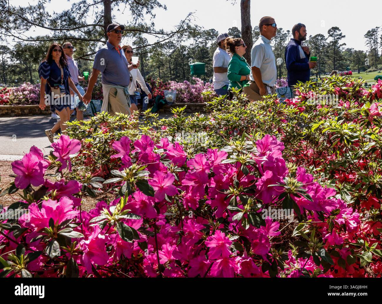 Augusta, United States. 08th Apr, 2025. Patrons walk past blooming ...