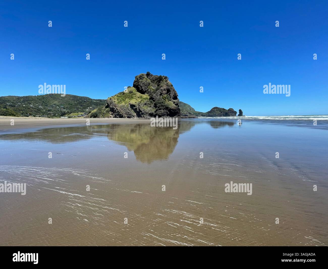 A West Coast Beach near Auckland, New Zealand Stock Photo - Alamy