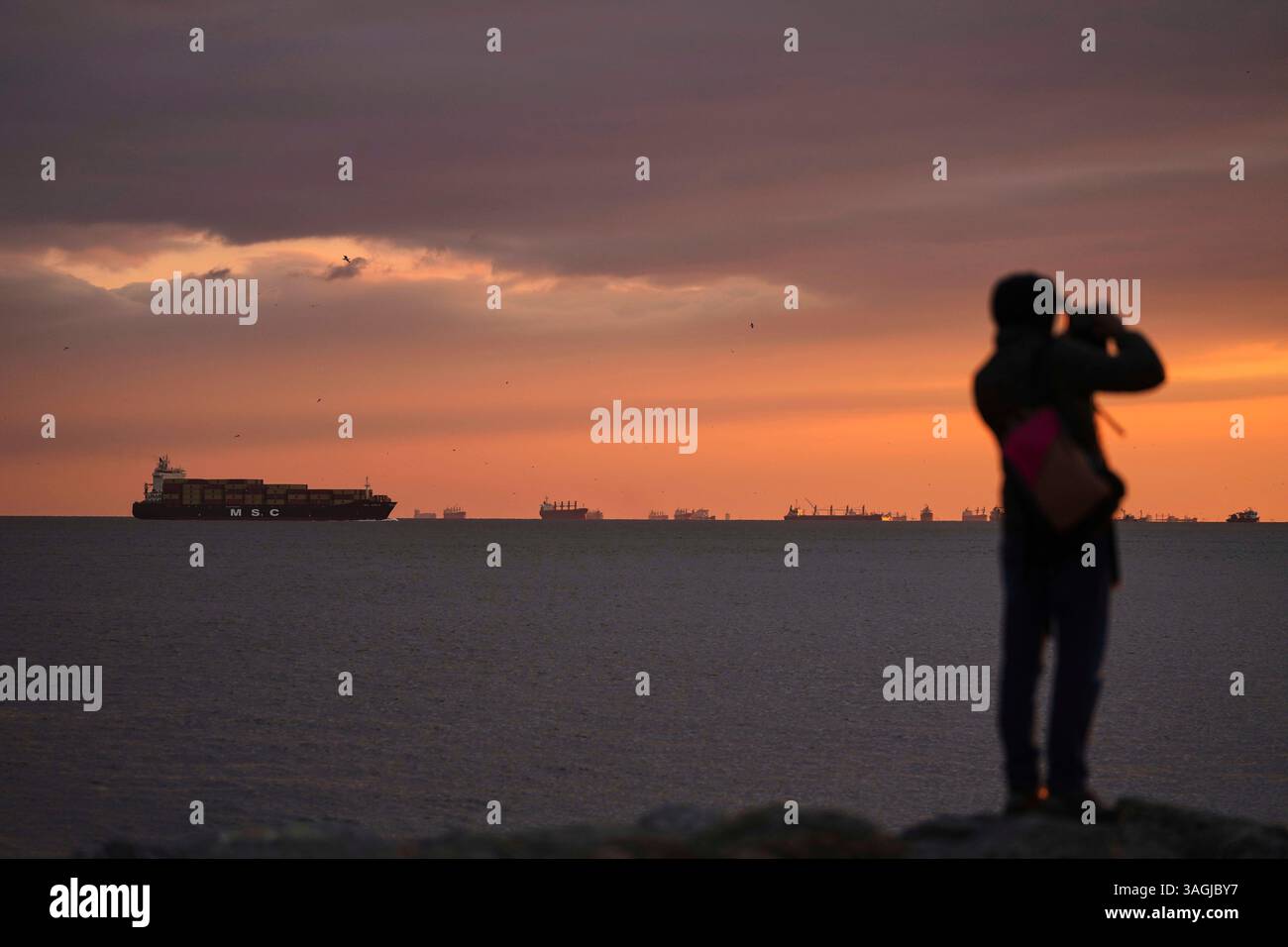 Containers ship MSC Agna II, left, sails pass other cargo ships ...
