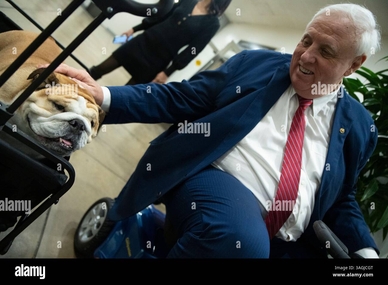 United States Senator Jim Justice (Republican of West Virginia) pets ...