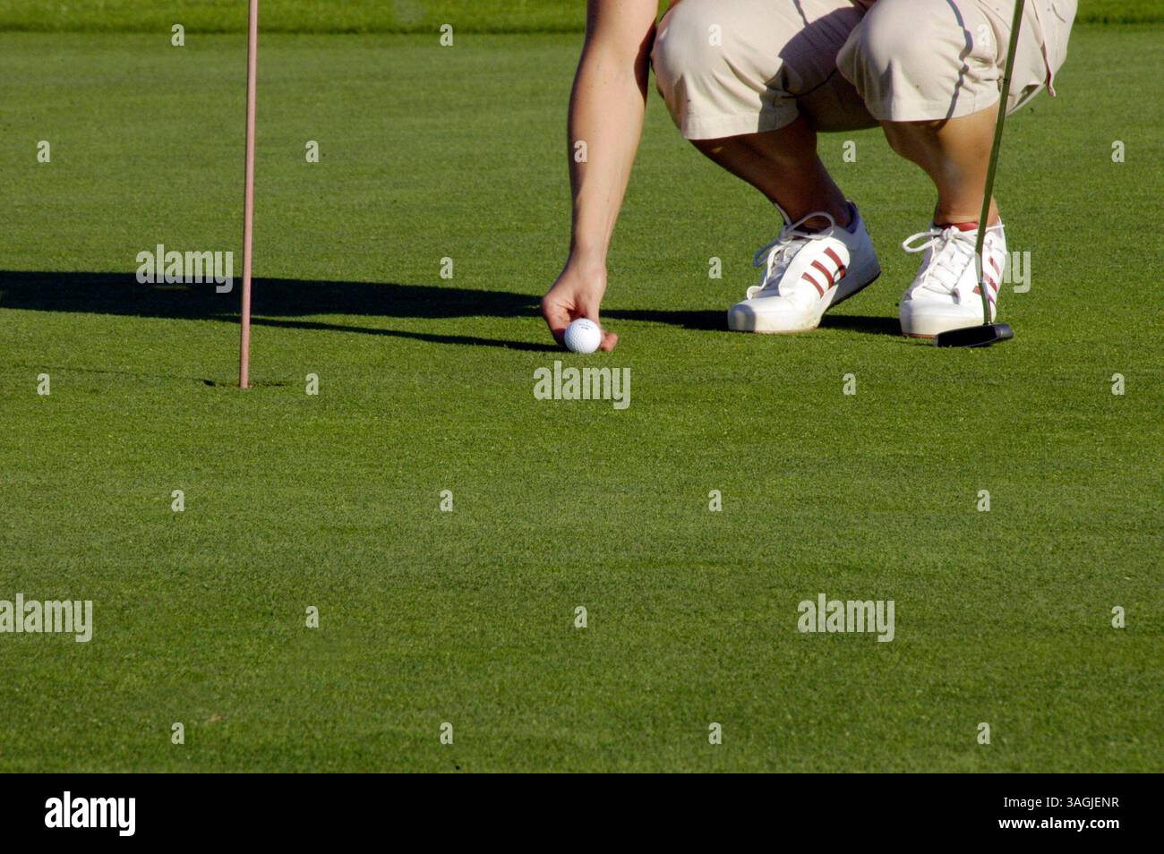 golf is a ballsport in nature with style golf is a ballsport in nature ...