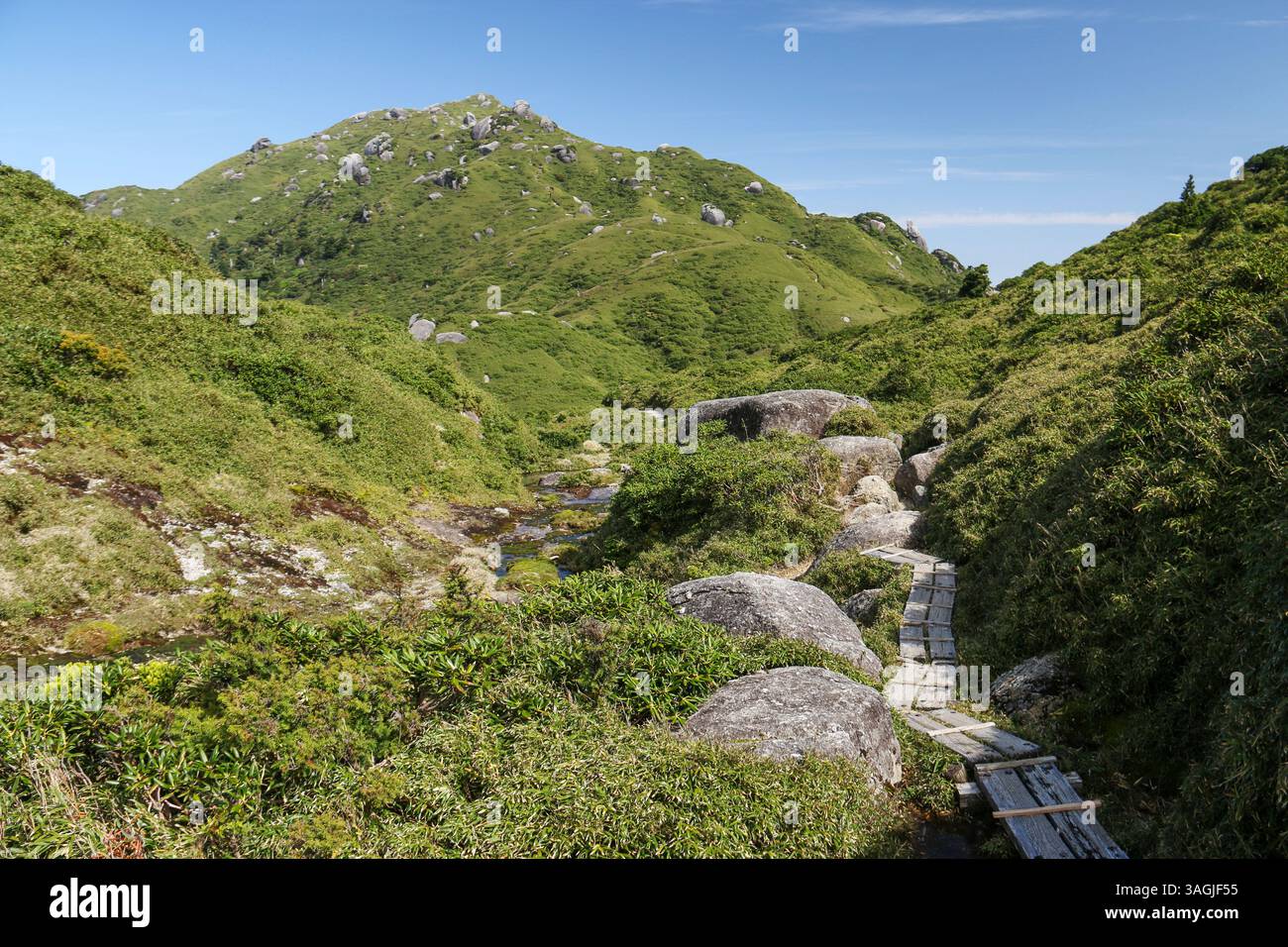 Yakushima island, the road to the summit of Kyushu's highest peak ...