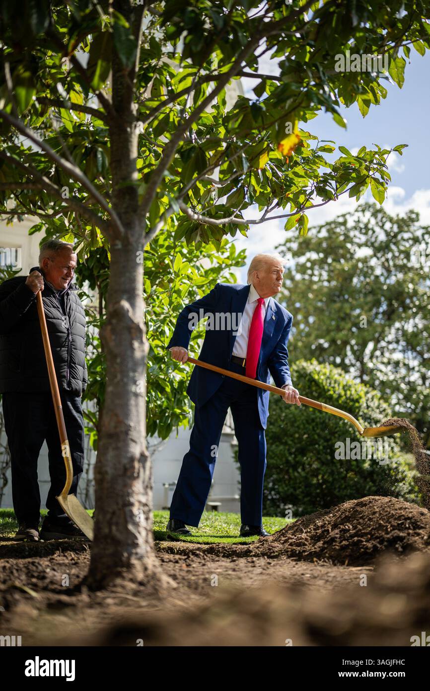 President Donald Trump participates in a commemorative tree-planting ...