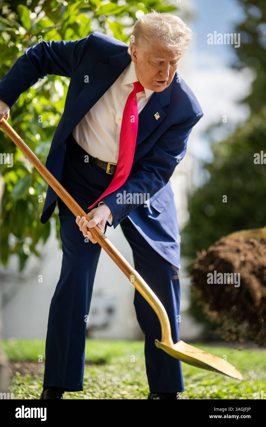 President Donald Trump participates in a commemorative tree-planting ...