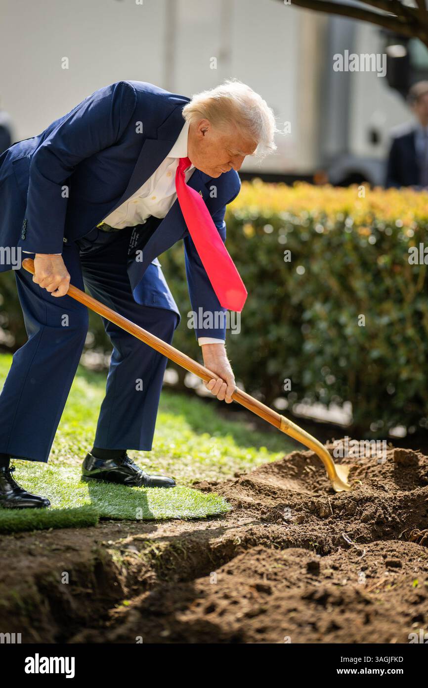 President Donald Trump participates in a commemorative tree-planting ...