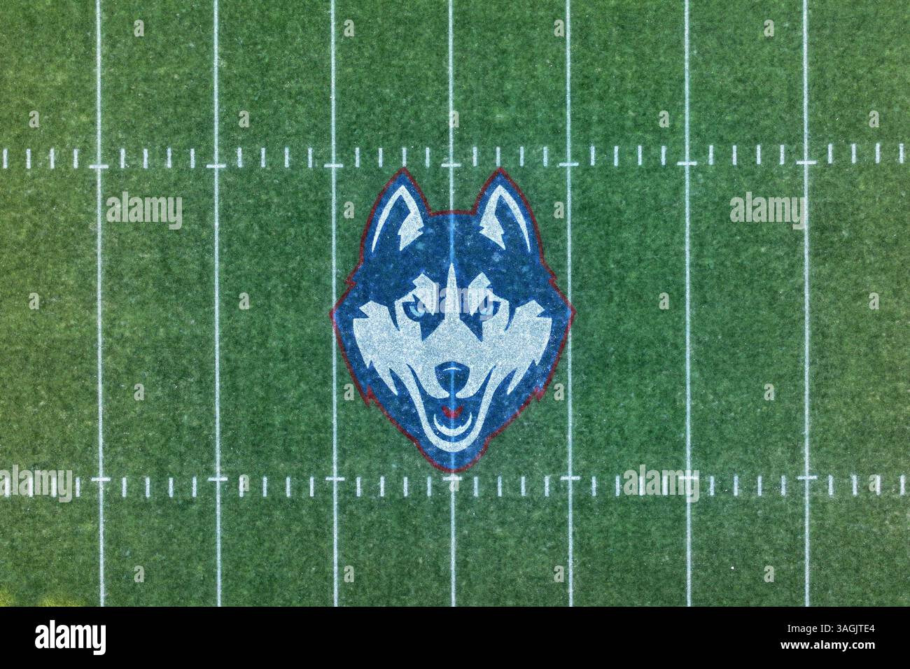 The UConn Huskies logo at midfield of Pratt & Whitney Stadium at ...