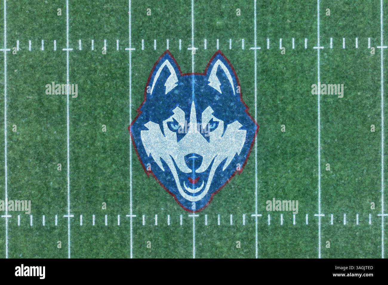 The UConn Huskies logo at midfield of Pratt & Whitney Stadium at ...