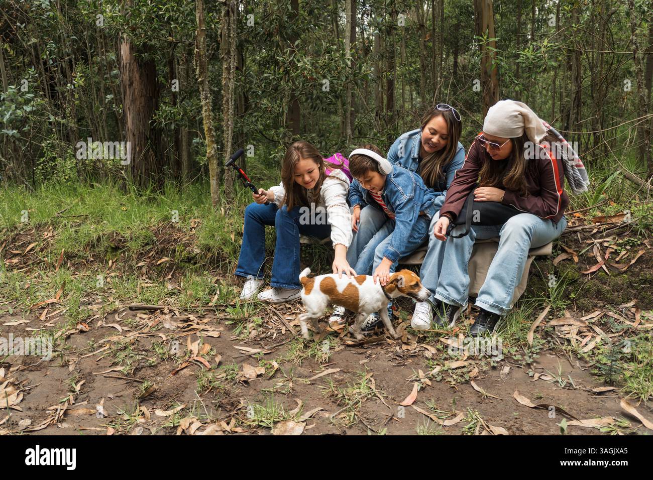 Family taking a break during a hike in a forest, petting their dog ...