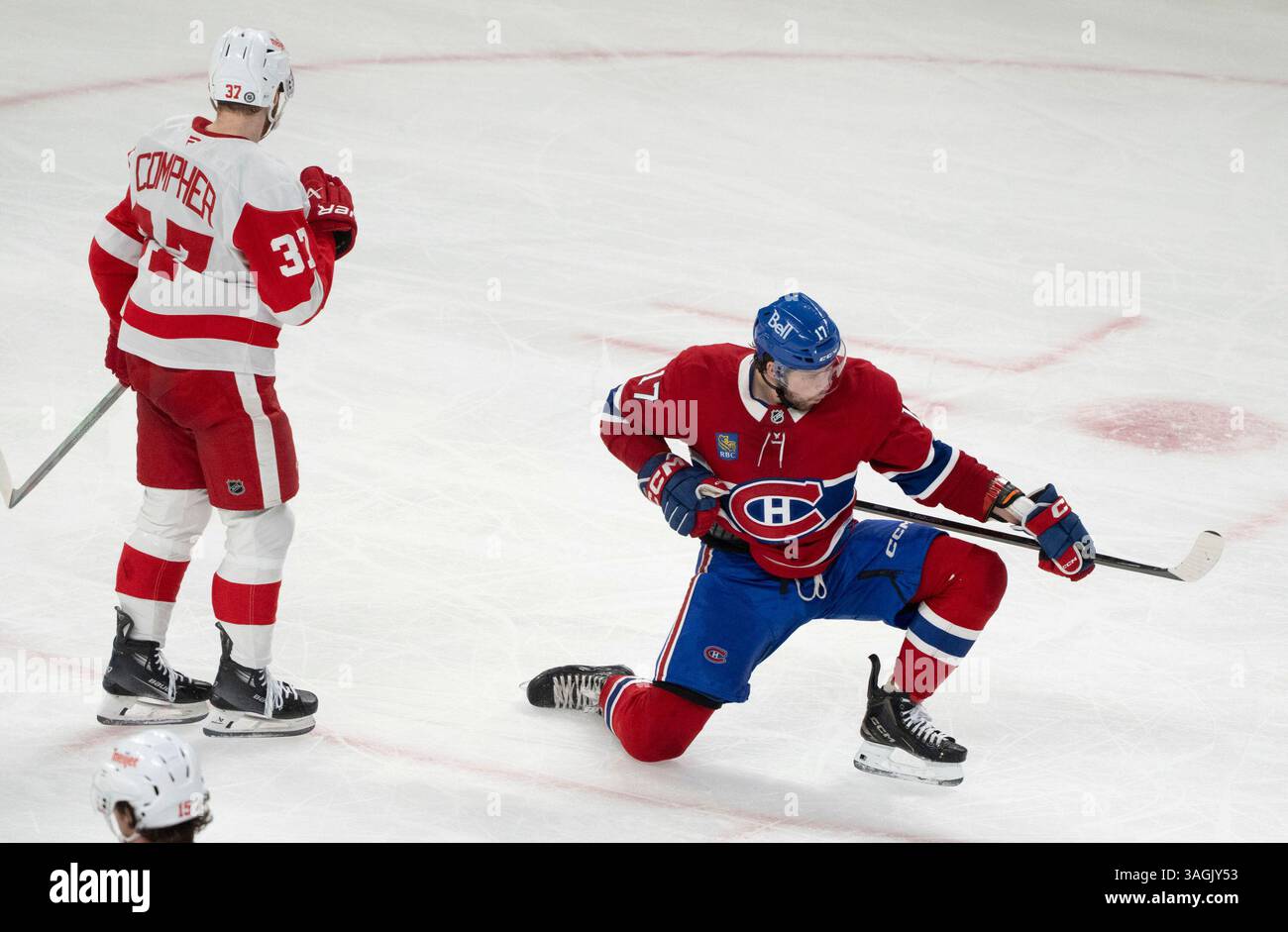 Montreal Canadiens' Josh Anderson (17) celebrates his go-ahead goal in ...