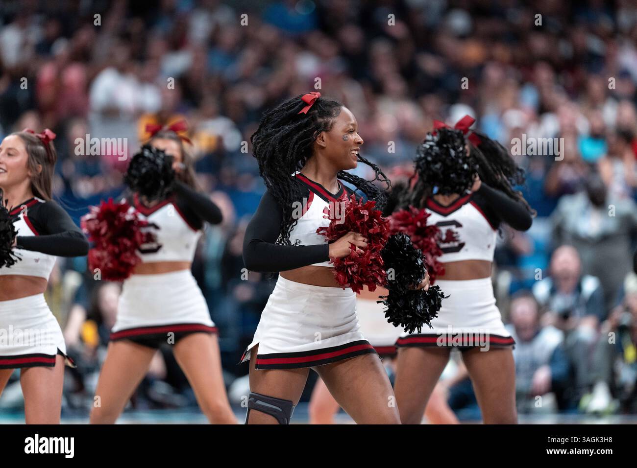 South Carolina cheerleaders cheer for their team during the ...